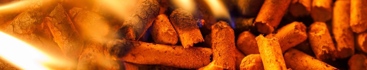 Lose Holzpellets A1 ENplus kaufen: 15 kg Säcke | REKORD Shop